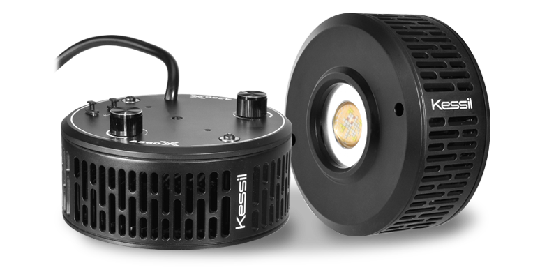 Kessil LED Lights | Krakking Korals