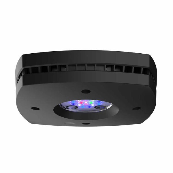 AI Prime 16 HD Black - Aqua Illumination – Krakking Korals
