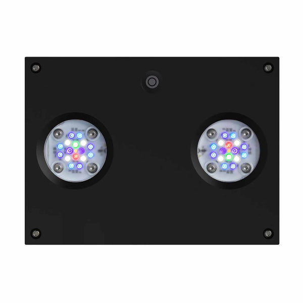 Hydra 32 HD Black - Aqua Illumination – Krakking Korals